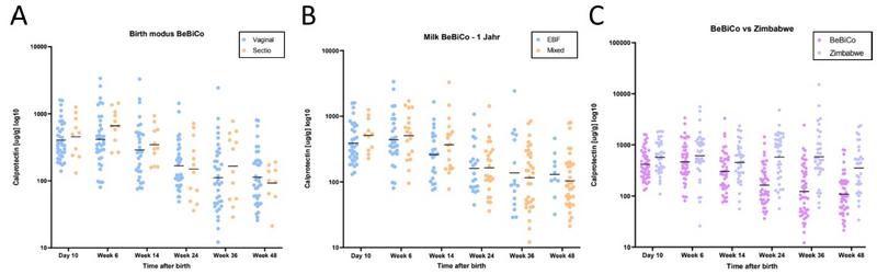 BeBiCo | Mucosal Immunology
